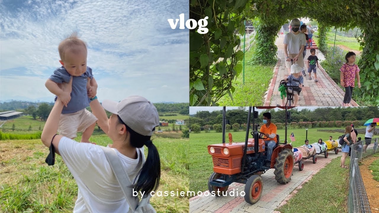 Vlog 🐮 The Acre By Farm Fresh | Farm In The City @ UPM Serdang - YouTube
