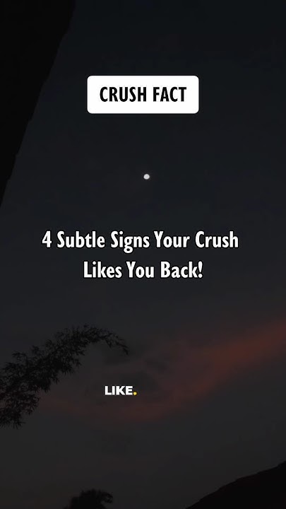 4 Subtle Signs Your Crush Likes You Back! Crush Facts #shorts #psychologyfacts - YouTube