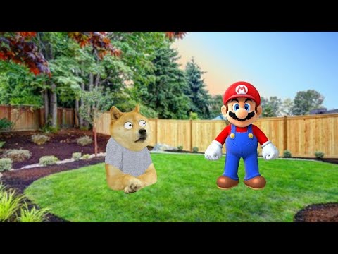 Doge goes to Mario world + lil Doge gets arrested Funny! - YouTube