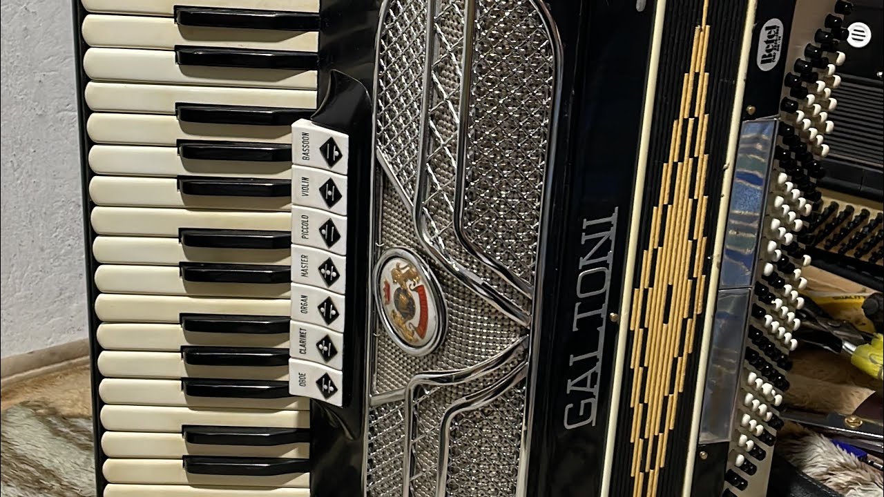 #Live Acordeon Gabanelli (vendido) - YouTube