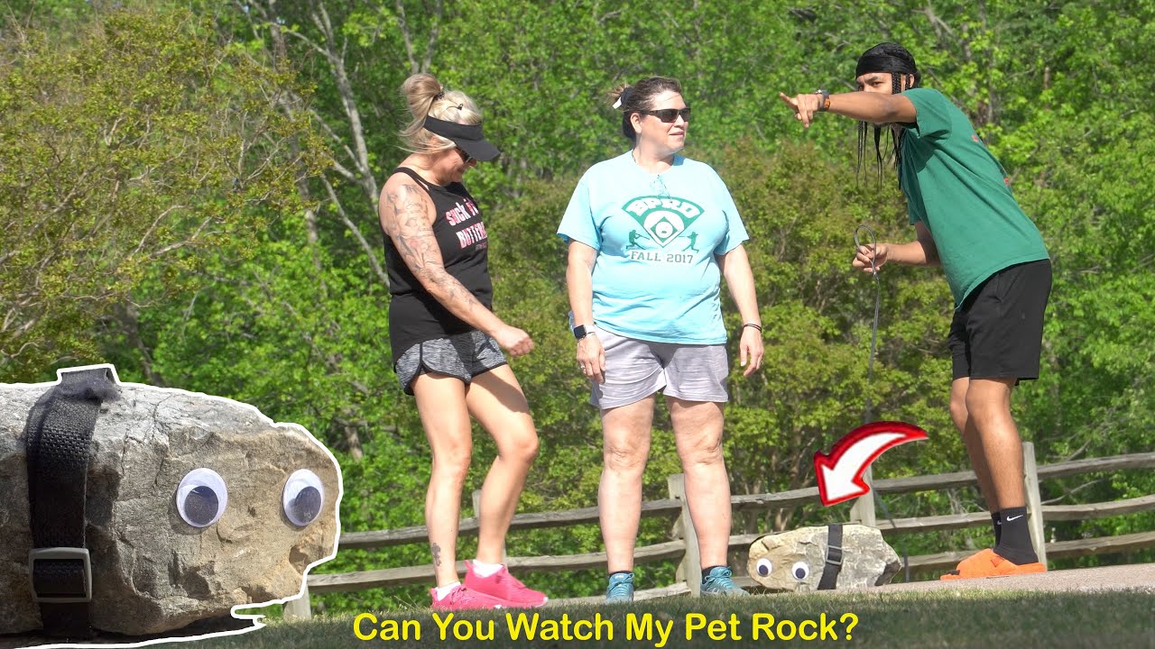 Asking People To Watch My Pet Rock Prank! - YouTube