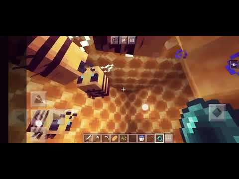 bee Honey house (tiktok xdjames)