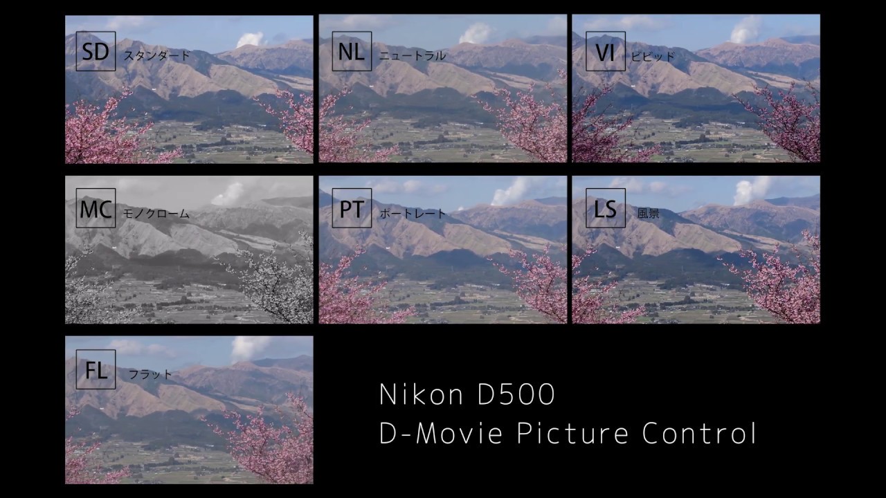 ニコンD500ピクチャーコントロール検証 Nikon D500 D-Movie Verified picture control - YouTube