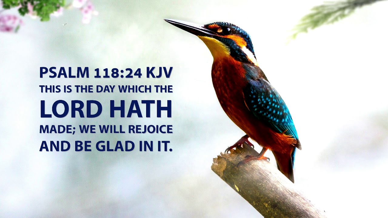 VIDEO BIBLE VERSE PSALM 118 24 KJV FULL HD YouTube VIDEO BIBLE VERSE PSALM 118 24 KJV FULL HD YouTube