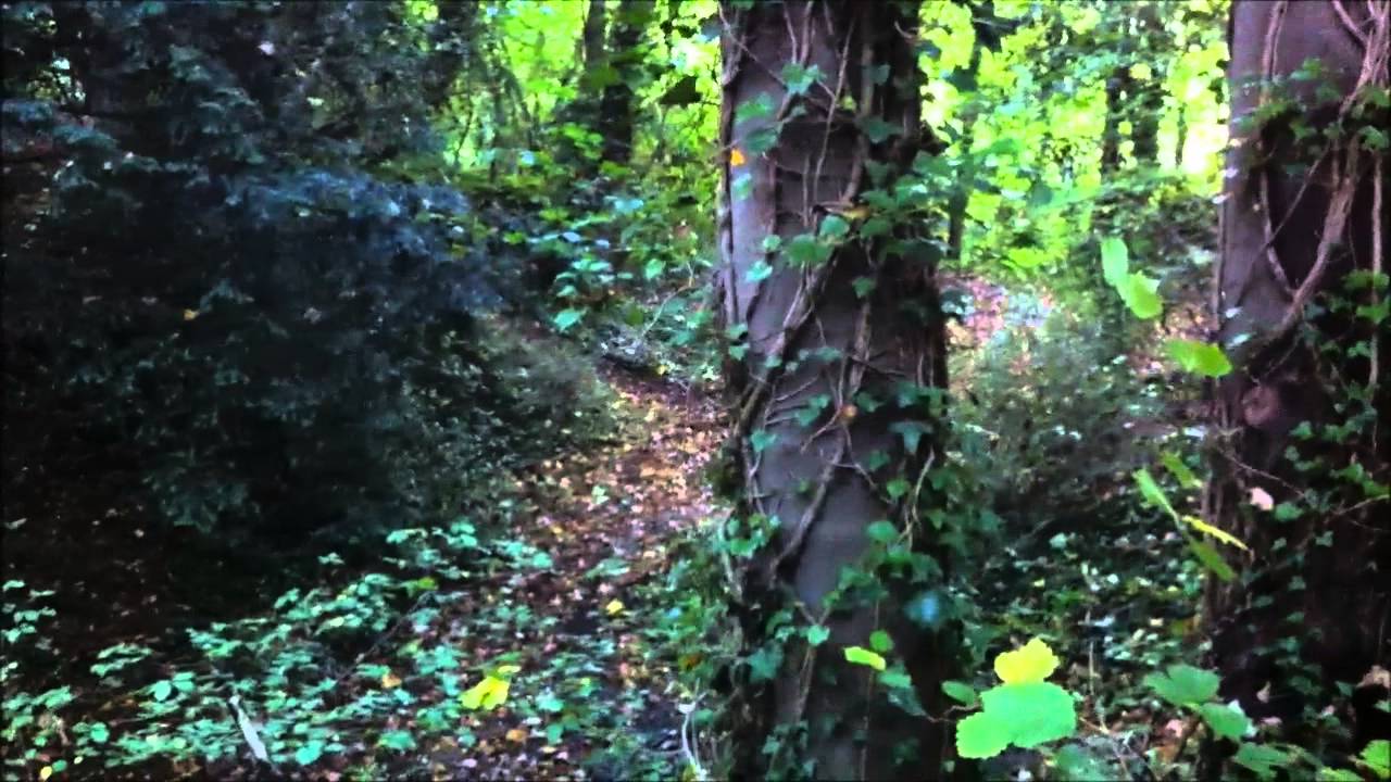 Demon x 160 and 140, Pit Bike Funs - YouTube