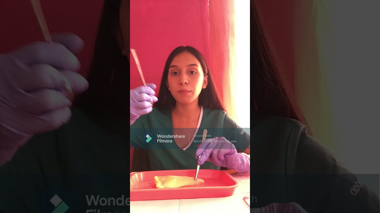 COLGAJO INCISION LINEAL Y TECNICA DE SUTURA SIMPLE - YouTube