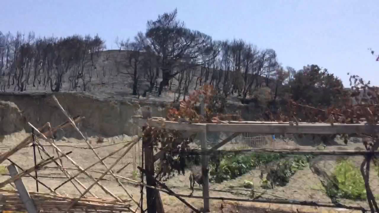 Rhodes fire 2016 Greece - YouTube