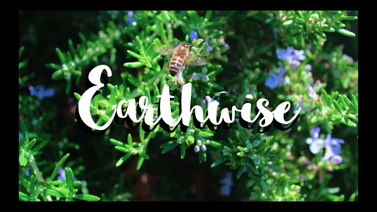 Earthwise Promo - YouTube