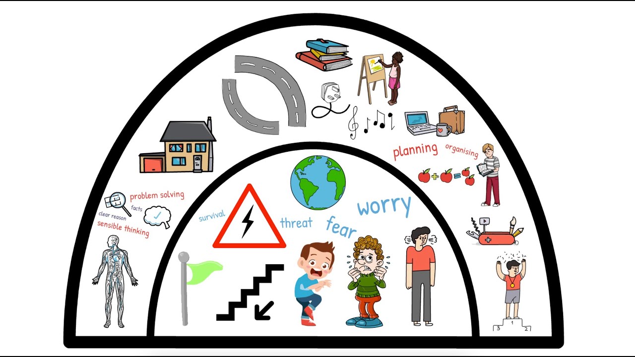 Brain Science for Kids - Thinking and Feeling - YouTube