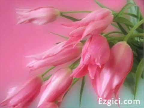 yeni bir şarkının bestecisiyim | aykut kuşkaya