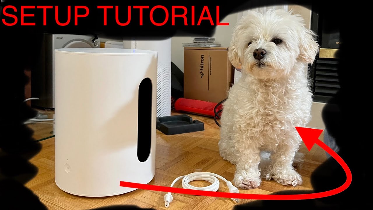 Sonos Sub and Sub Mini Step by Step How to Setup Tutorial - YouTube