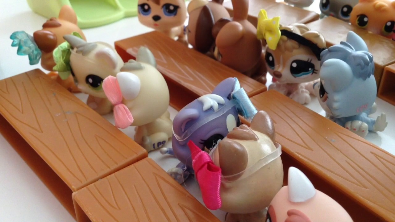 LPS || Look Around // Ep.1 (Mini Series) - YouTube