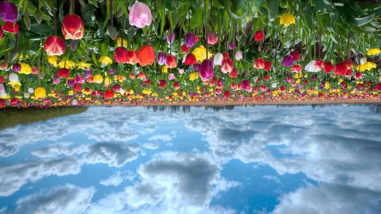 Jonathan Peters pres. Luminaire - Flower Duet '99 (J.P.'s Sound Factory ...