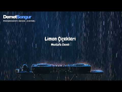 Limon Çiçekleri-Mustafa Ceceli (Remix)