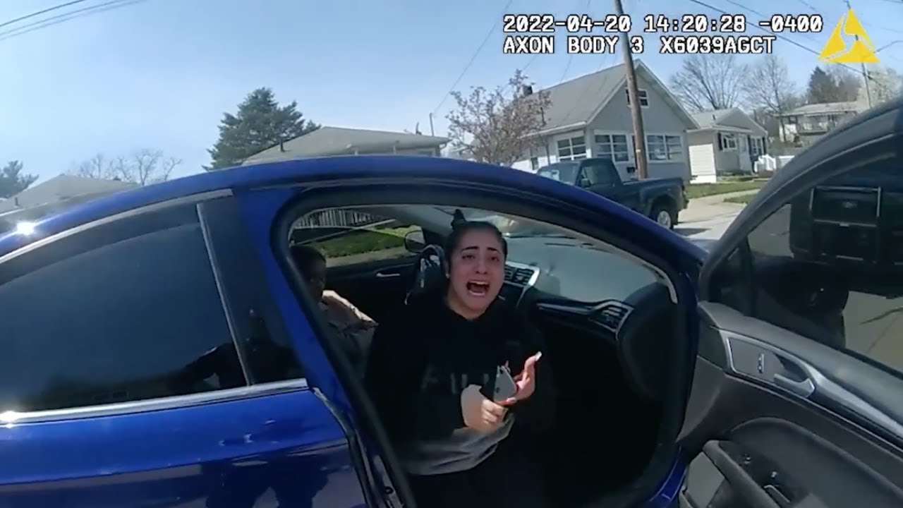 Brick Throwing Gone Wrong! When Smashing Windows Gets You Smashed ...