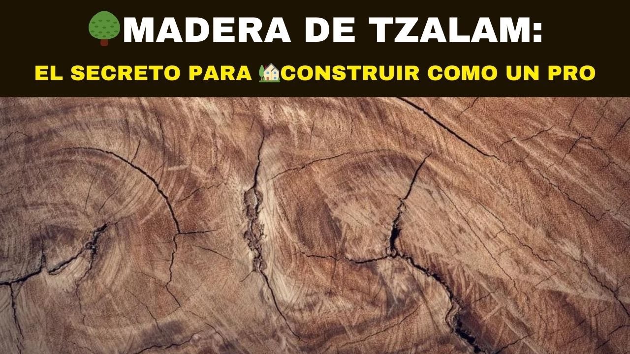 🌳MADERA DE TZALAM: El secreto para 🏡Construir como un Pro - YouTube