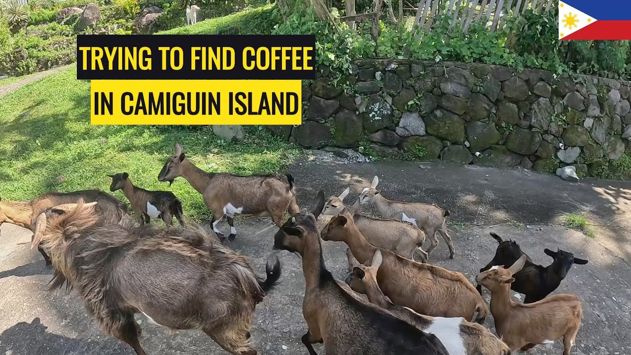 Trying to find coffee in Camiguin Island! - YouTube