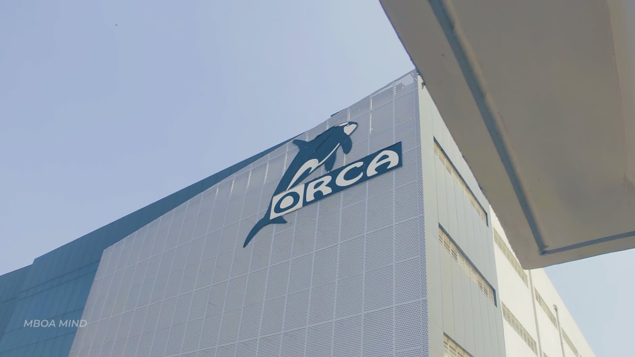 ORCA Yaoundé : revêtement de façades par SOCALU (by MBOA MIND) - YouTube