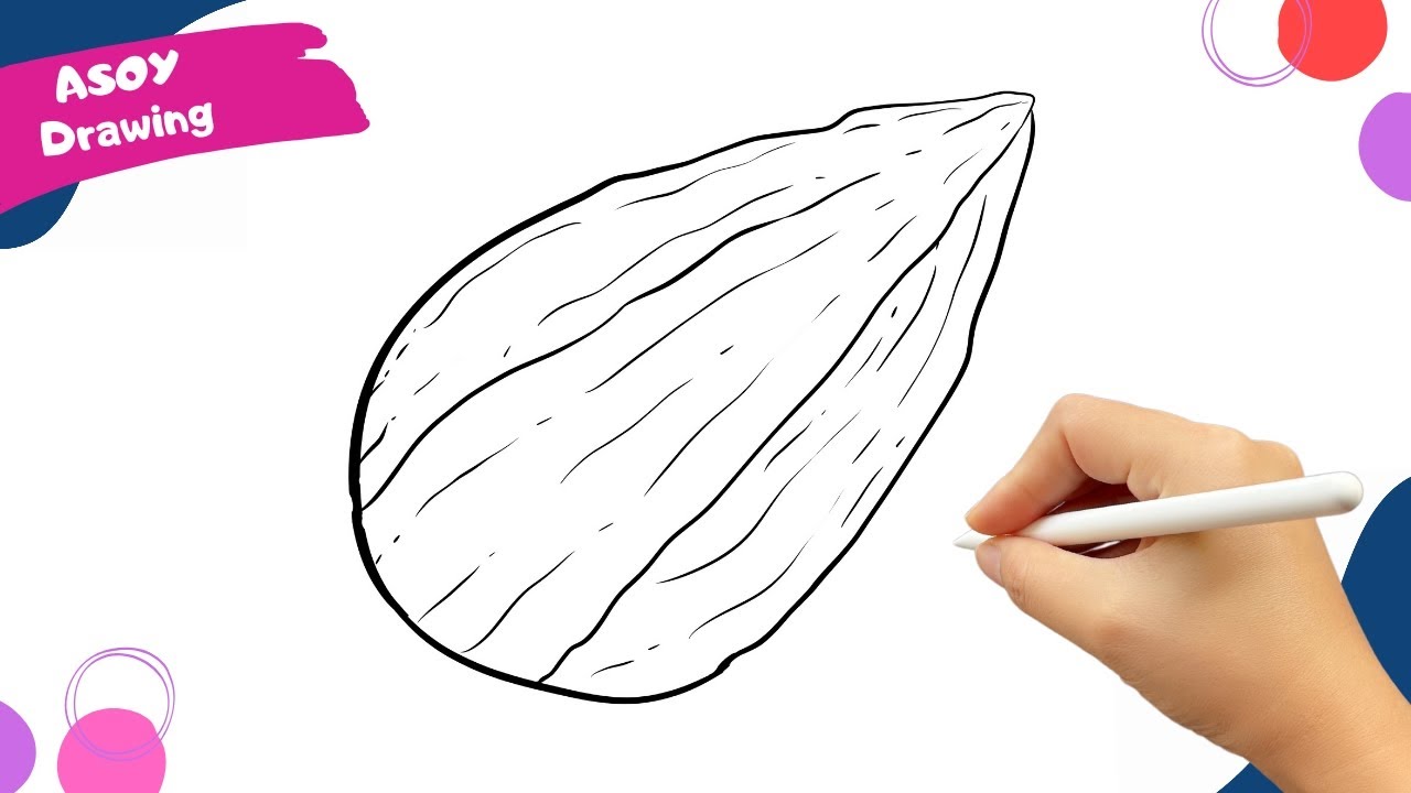 How to Draw Almond - YouTube