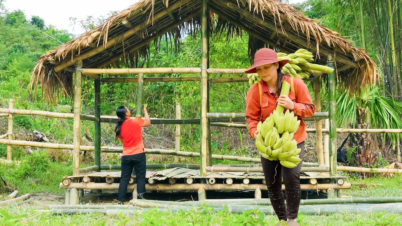 Harvesting & Selling Fresh Farm Produce | Building a Beautiful Bamboo ...