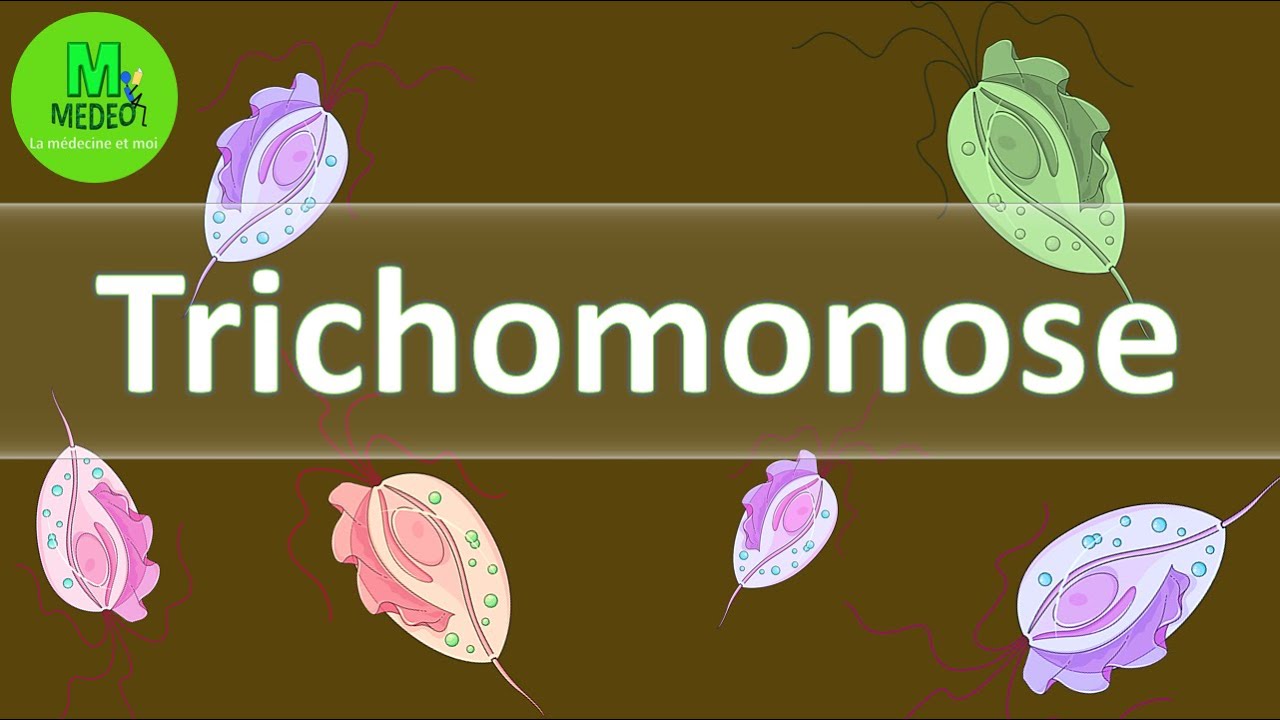 TRICHOMONOSE : cours de parasitologie médicale - YouTube