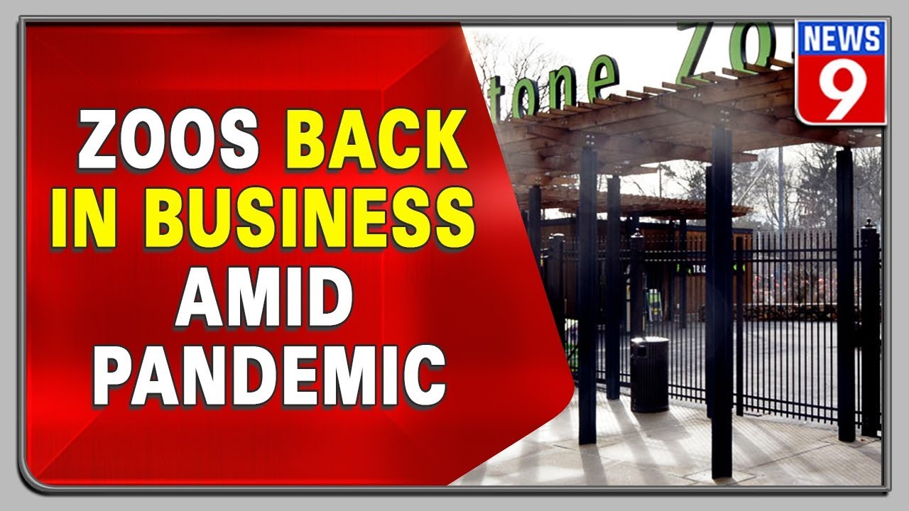 Zoos reopen in Boston - YouTube