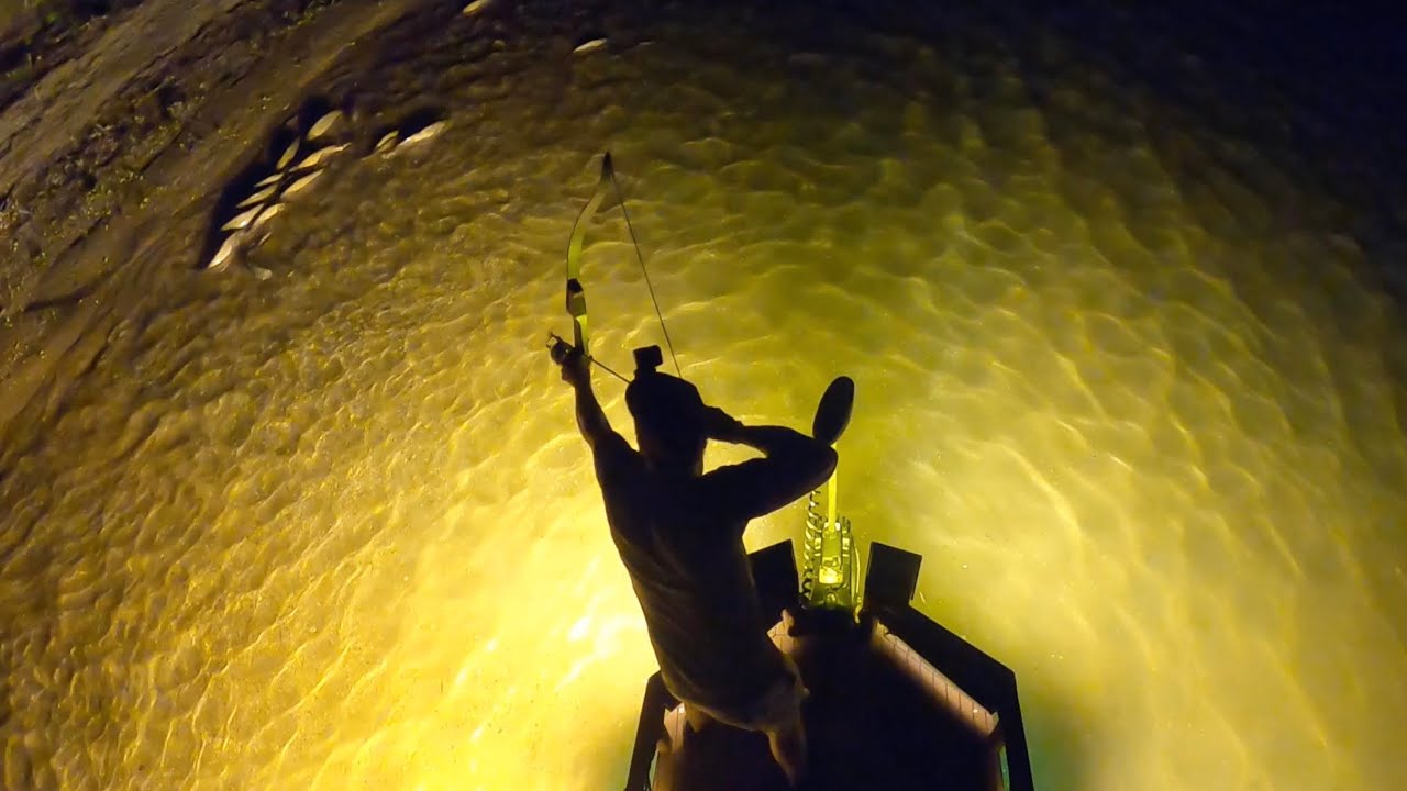 Bowfishing BIG FISH during Peak Spawn! (FISH EVERYWHERE) - YouTube