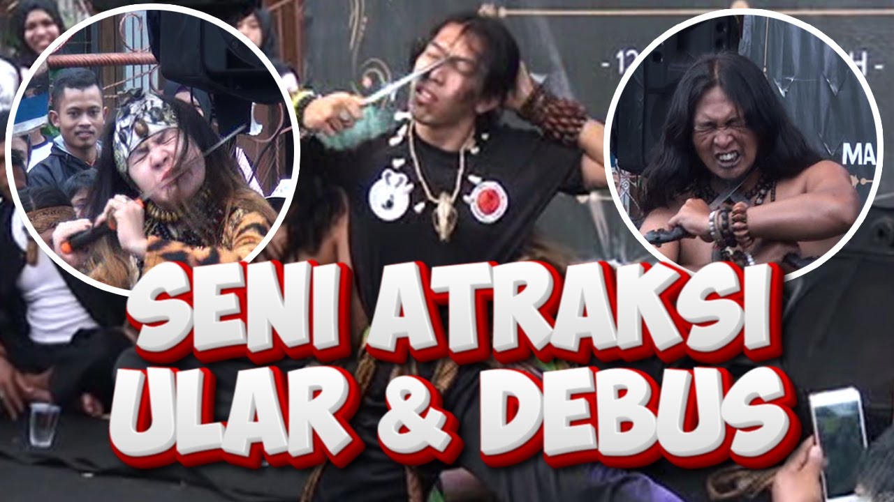 SENI ATRAKSI ULAR DAN DEBUS || PASANGRAHAN PADURAKSA SOREANG Feat ...