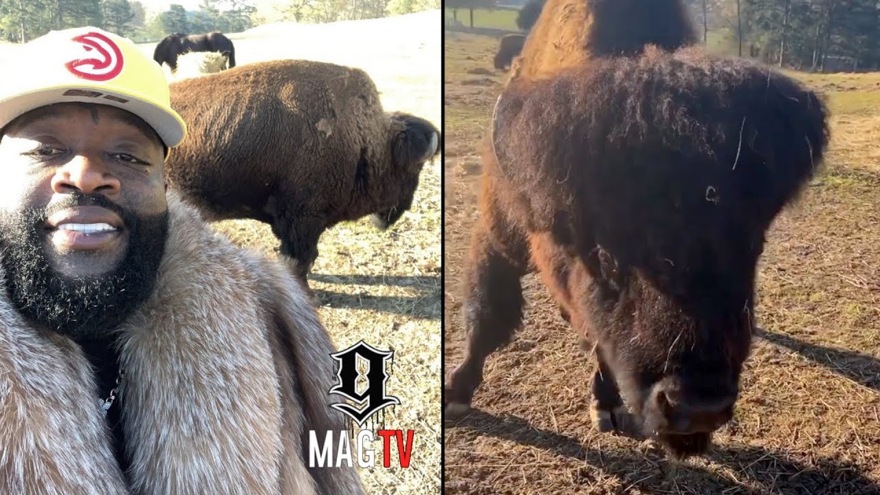 "Go See The Other Side" Rick Ross Explains Why His Buffalo Ran Into The ...
