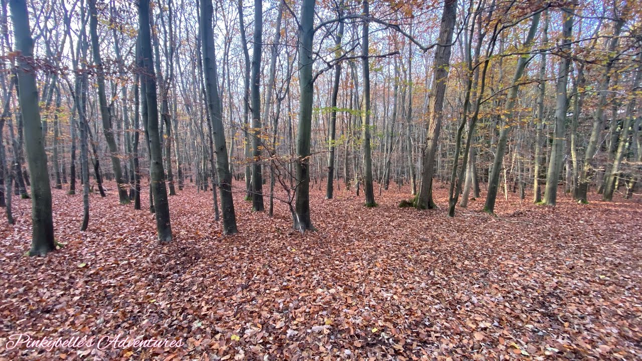 Bardney Limewoods | Pinkybelle’s Adventures - YouTube