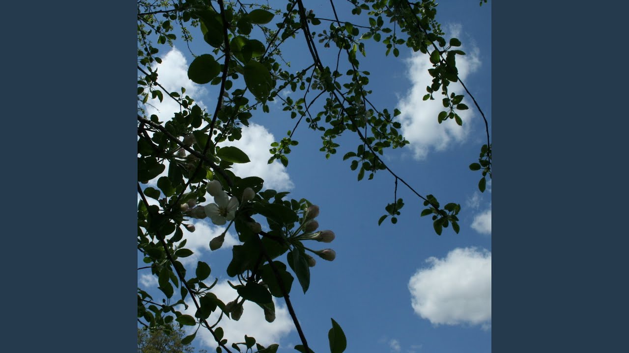 It's A Beautiful Day Outside - YouTube
