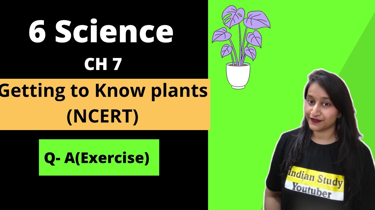 Class 6 Science NCERT Chapter 7|Exercise Question Answer| Getting to ...