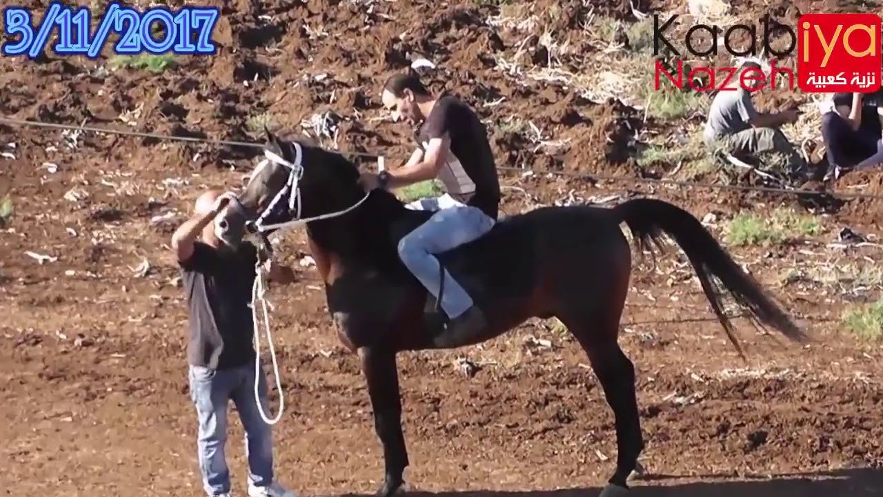 SHEIKH SAYAF . ALI VALENTINO BY Ruminaja Ali & I.K.KAMILLA - YouTube