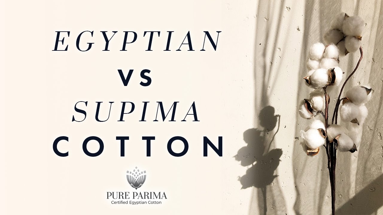 Supima Vs Egyptian Cotton