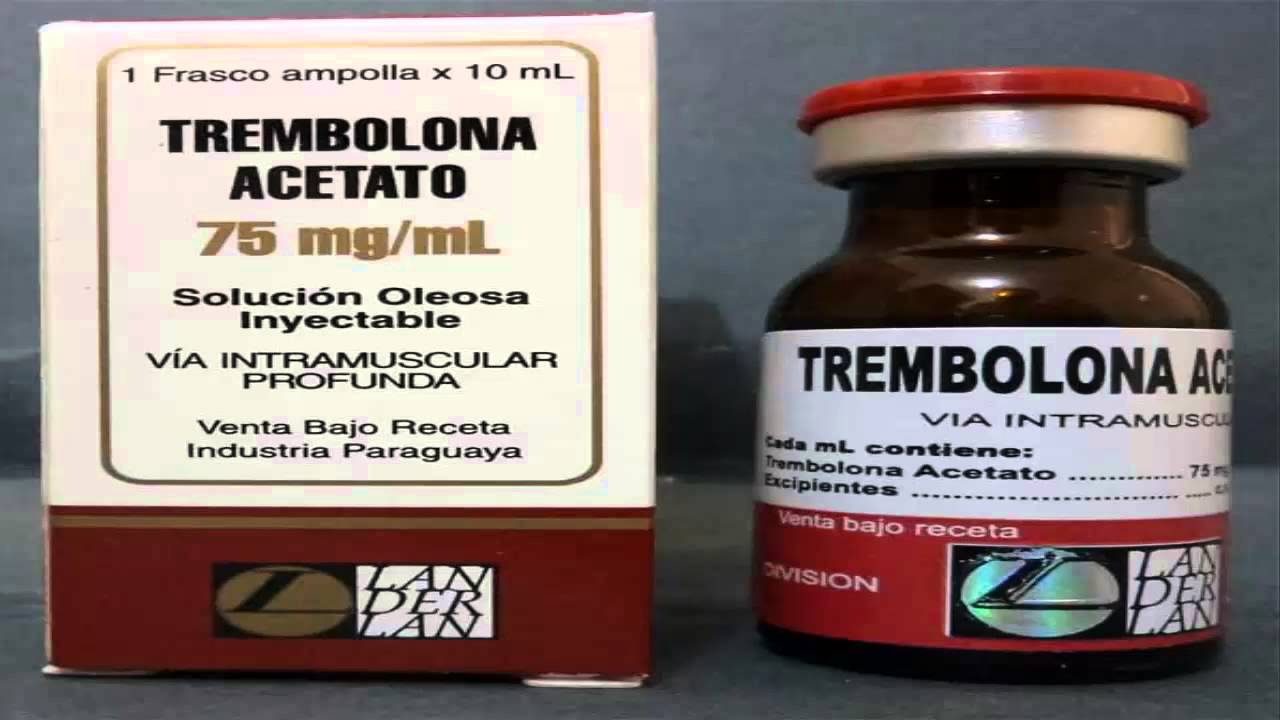 Trembolona o que é? Te deixa forte? Você ganhara músculos? - YouTube