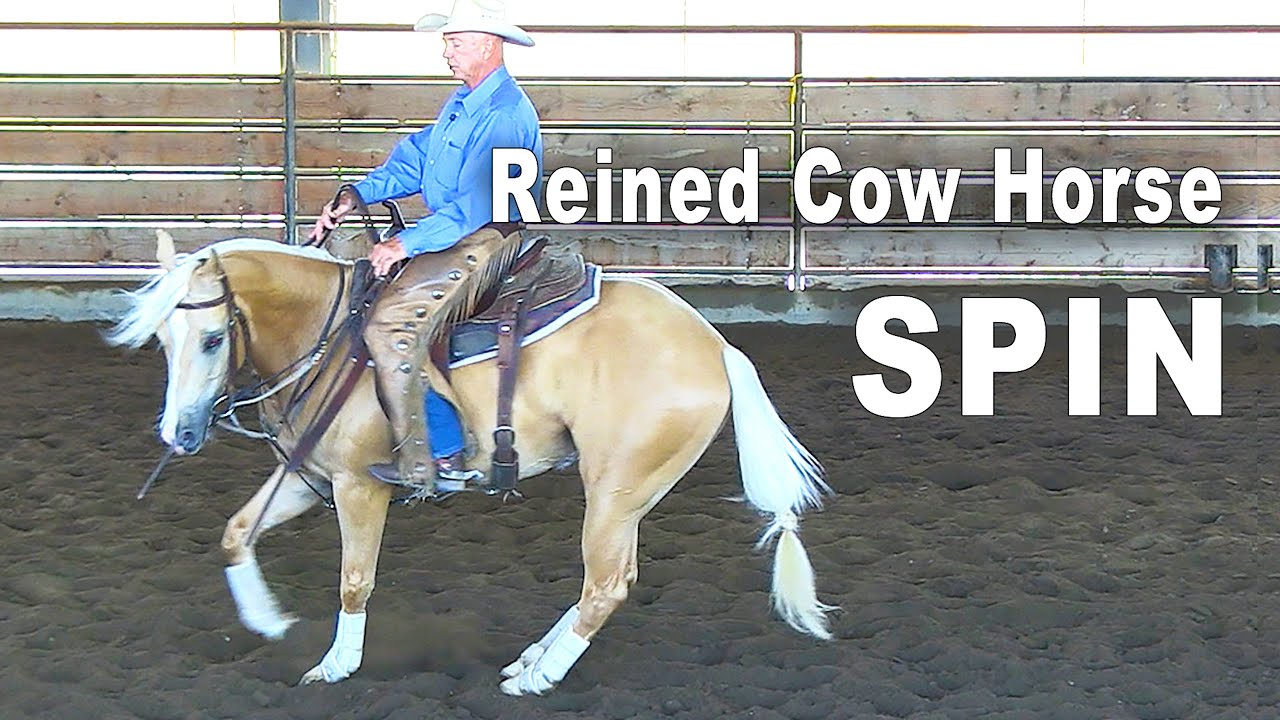 Horse Training For A Spin Reining Reined Cow Horse Training YouTube horse-training-for-a-spin-reining-reined-cow-horse-training-youtube
