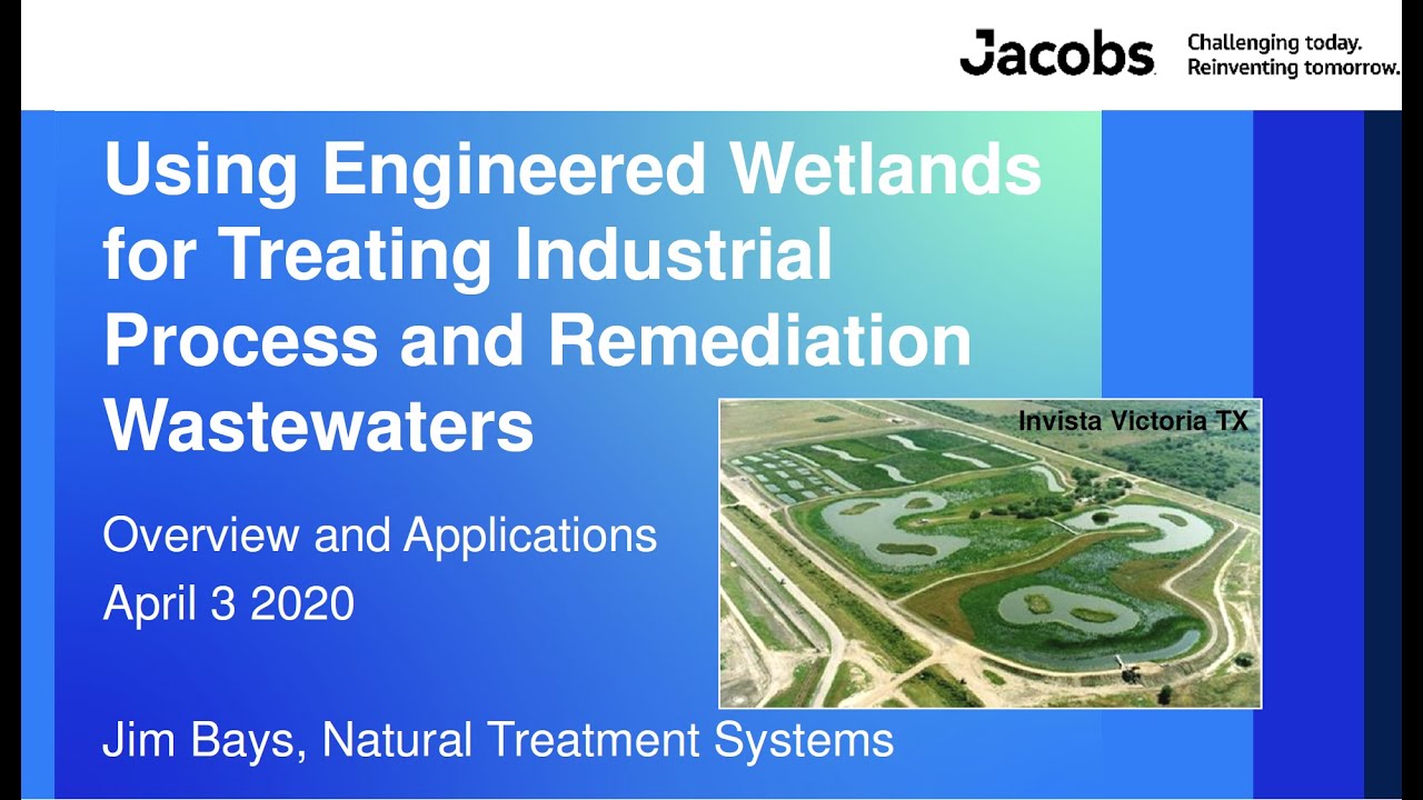 USF EWRE Seminar: Jim Bays, Natural Treatment Systems - YouTube
