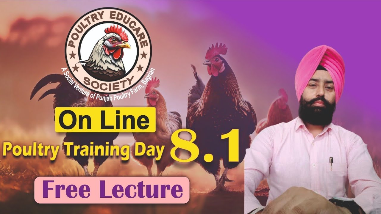 Free Poultry Training - YouTube