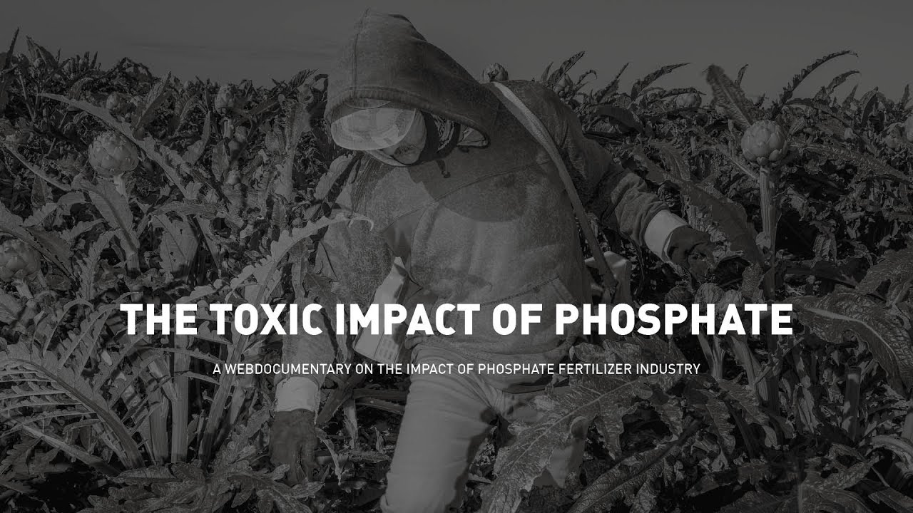 P2O5, the Toxic Impact of Phosphate (2024) - YouTube