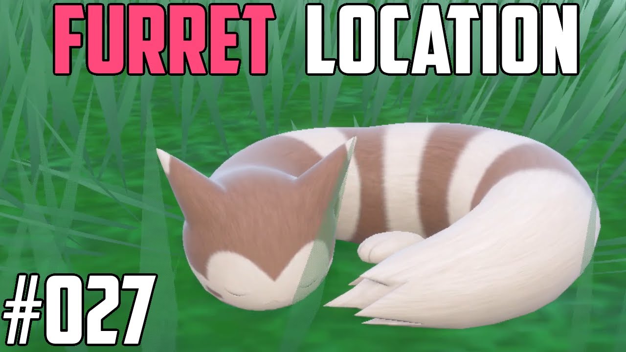 How to Catch Furret - Pokémon Scarlet & Violet (DLC) - YouTube