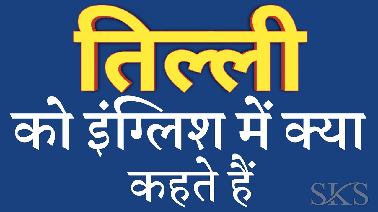तिल्ली को इंग्लिश में क्या कहते हैं | Tilli ko english mein kya kahate ...
