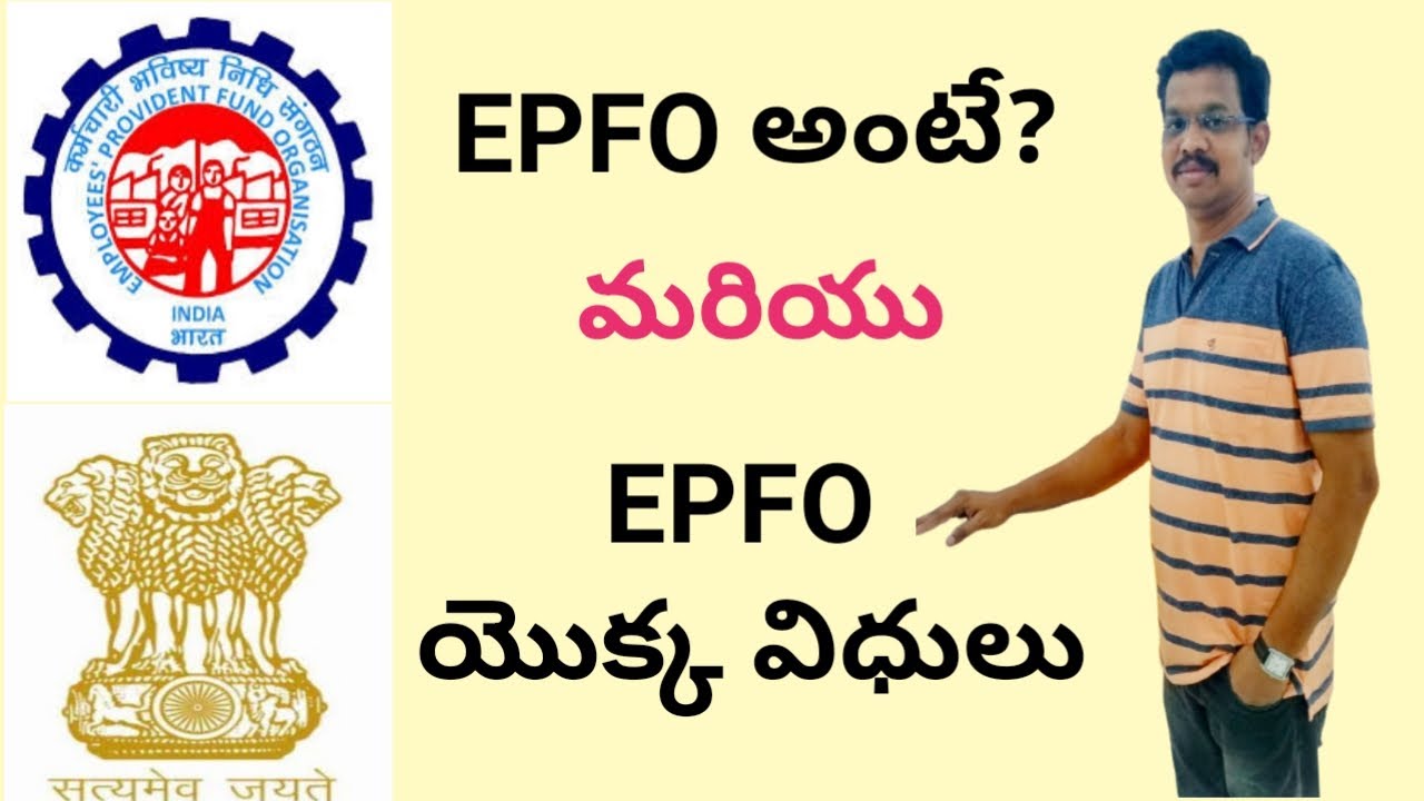 What is EPFO and its Functions | What is Employee Provident Fund ...