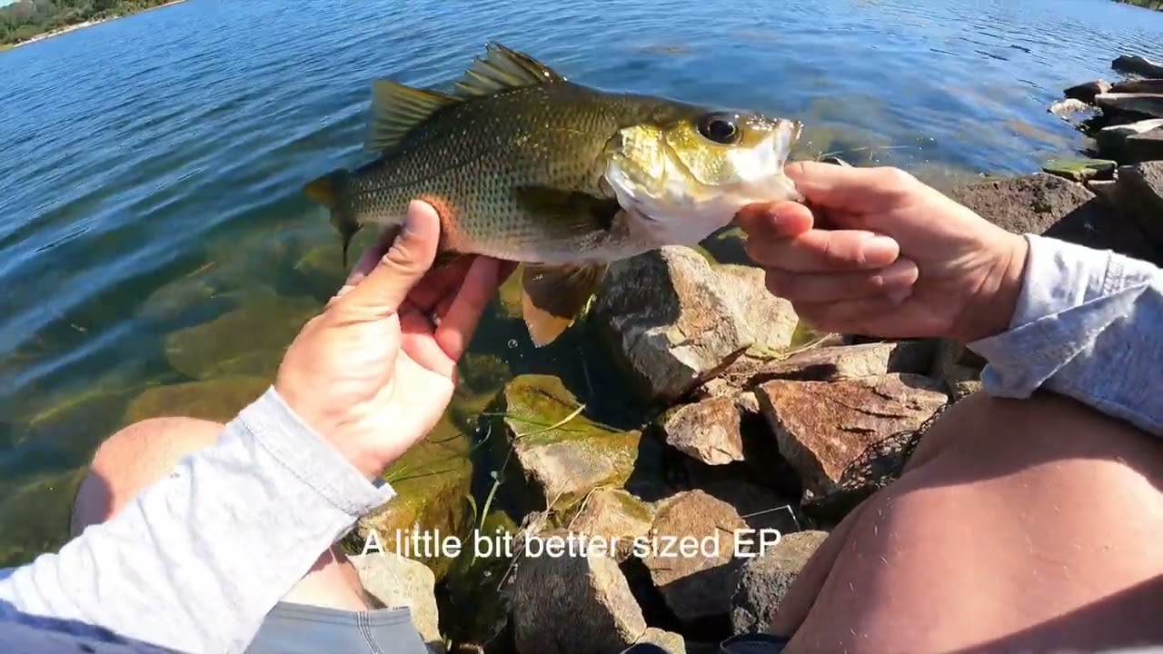 Devilbend landbased BFS fishing - YouTube