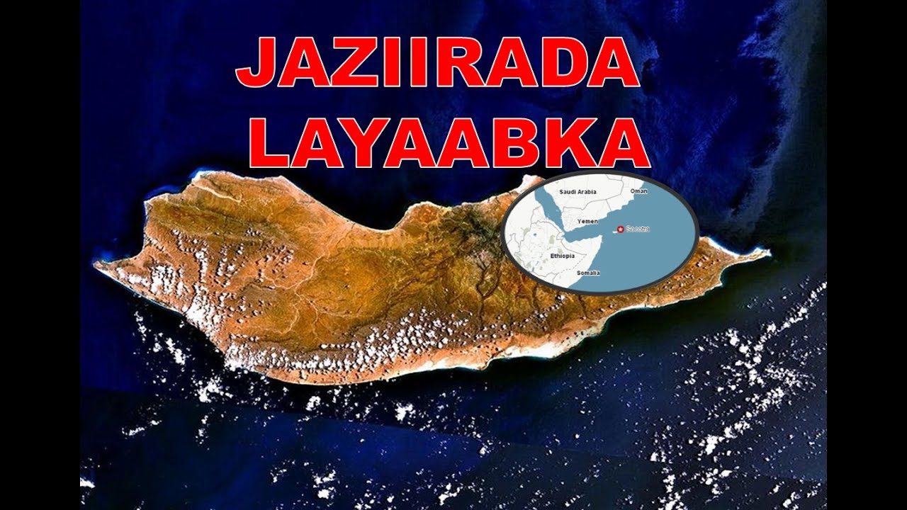 jaziirada layaabka suqatra - socotra - #OGAANSHO - YouTube
