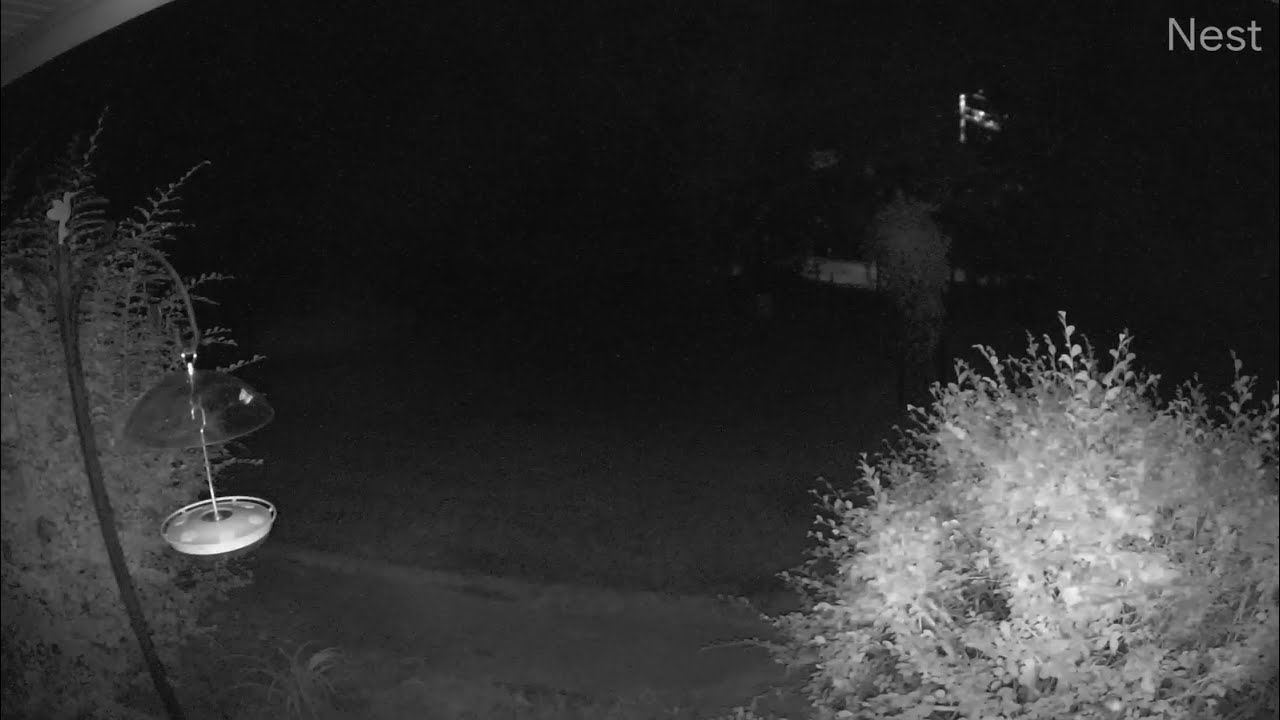 3am alarm outside my bedroom window - YouTube
