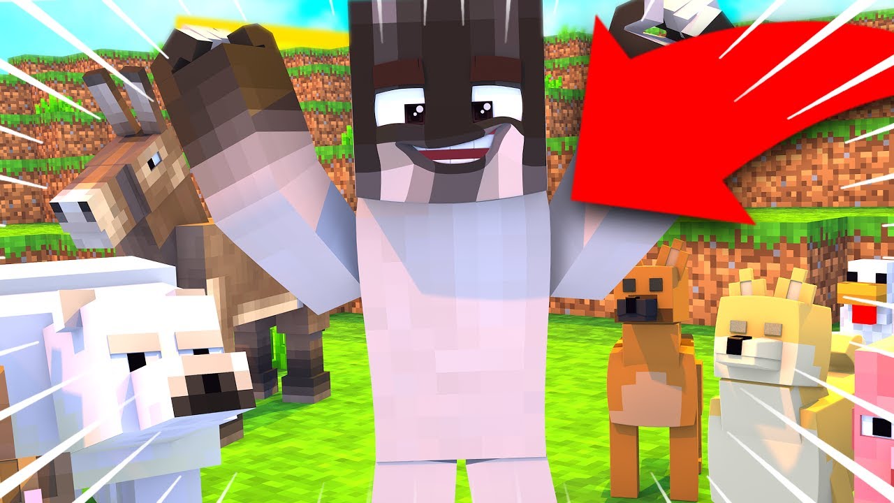 MINECRAFT présentation du mod Animania ! animaux améliorer énorme - YouTube