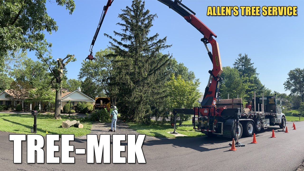 Allen's Tree Service Tree-Mek - YouTube