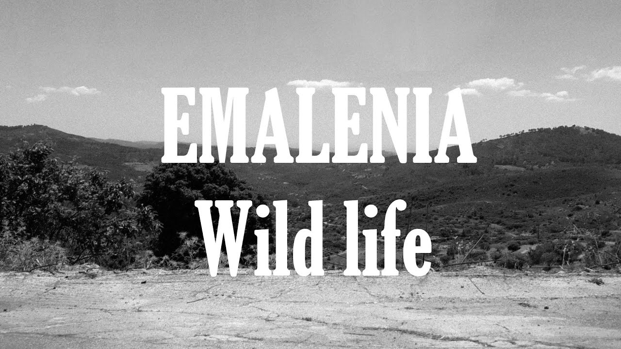 Acoustic song about having lived a wild life - Acoustic guitar ...