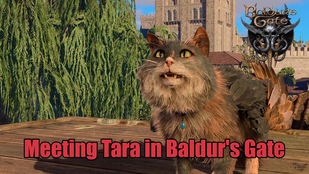 Baldur's Gate 3 - Trading with Tara, the Tressym - YouTube
