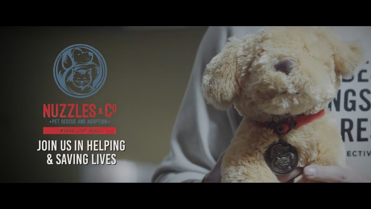 Nuzzles & Co – Join Us in Helping and Saving Lives - YouTube